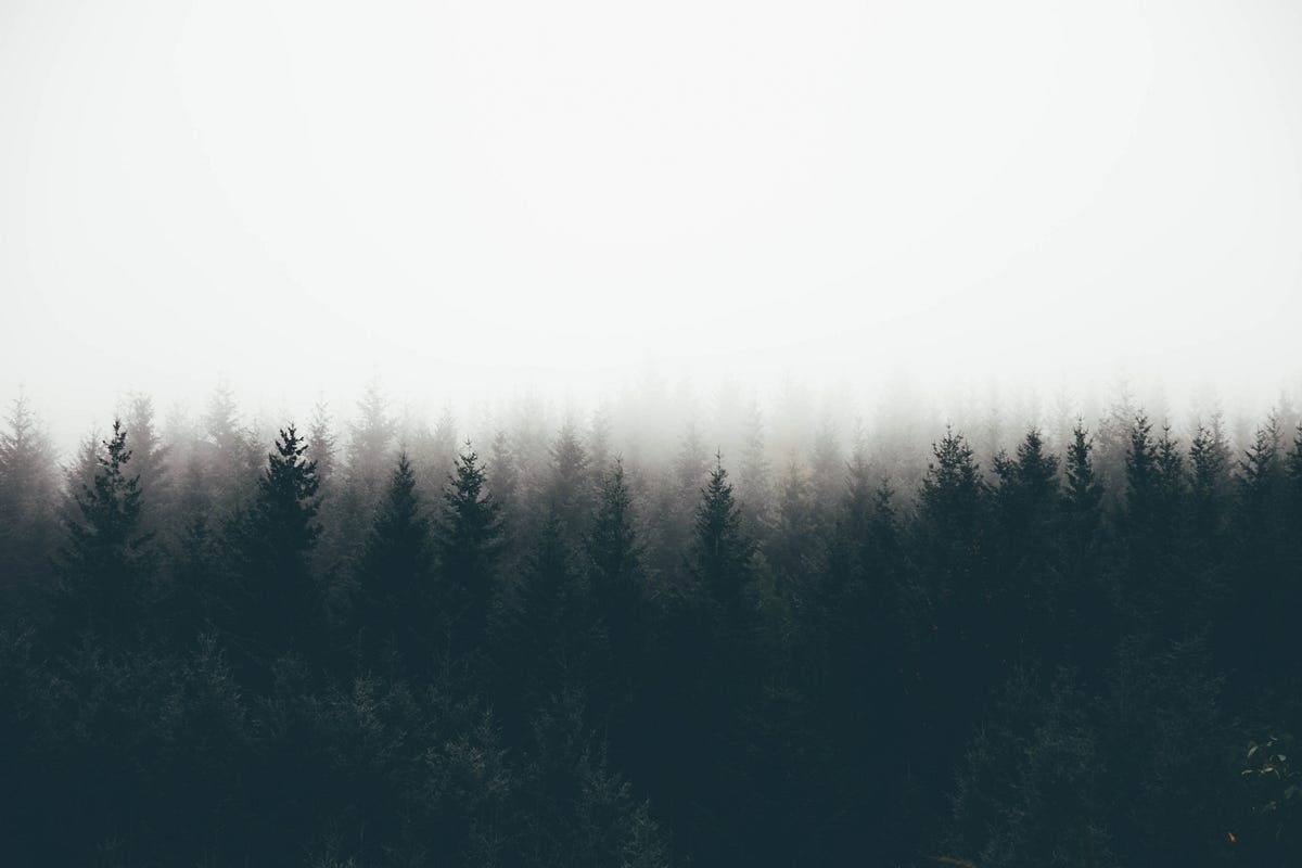 Whispering Winds. Once upon a time, in a quiet little… | by Littleglove ...