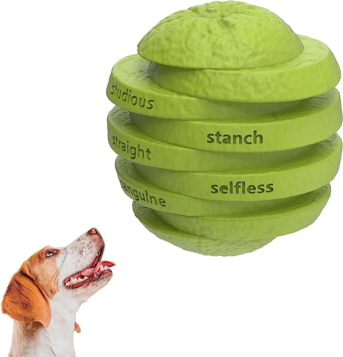 Fun and Challenging Dog Intelligence Toys in the UK | by Petbuds | Apr ...