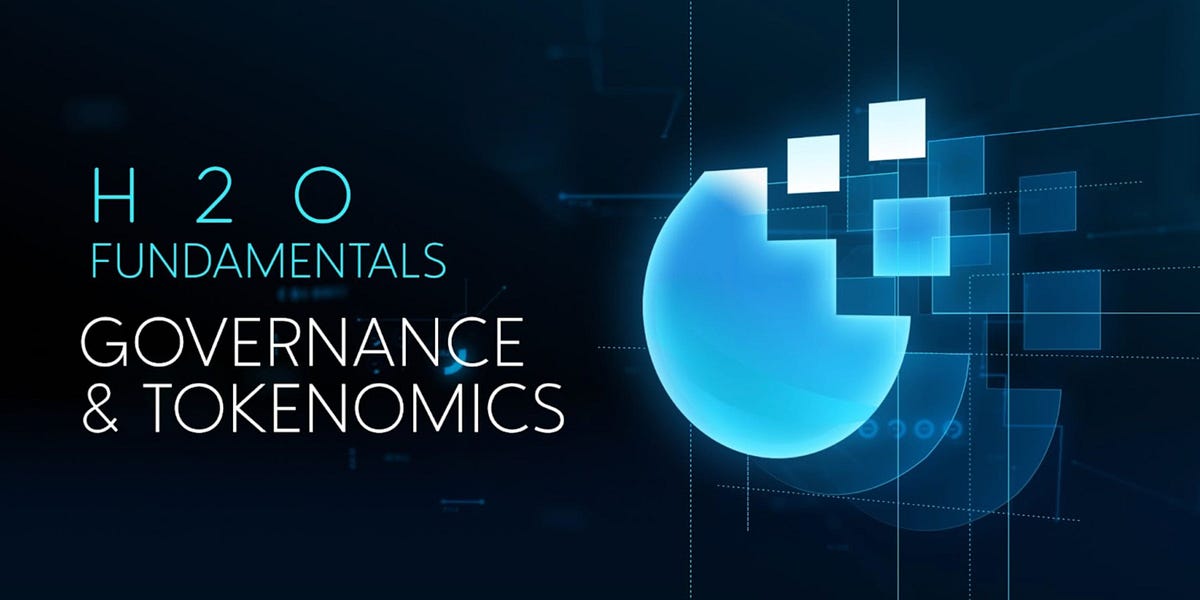 H2O Fundamentals: Governance and Tokenomics | by H2O Data 🌊 🔱 | H2O ...