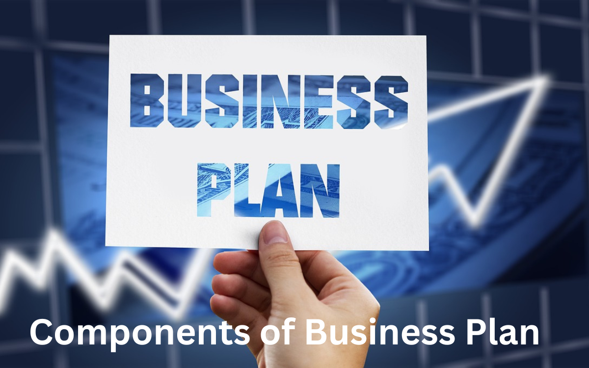 Components of Business Plan? What Should You Focus On Most? | by Sonia ...