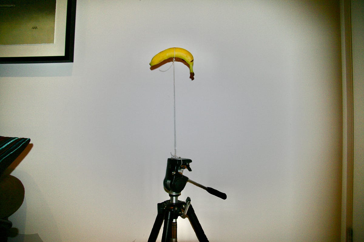 The History of Earth: DNA. It’s a molecule that can replicate. It… | by ...