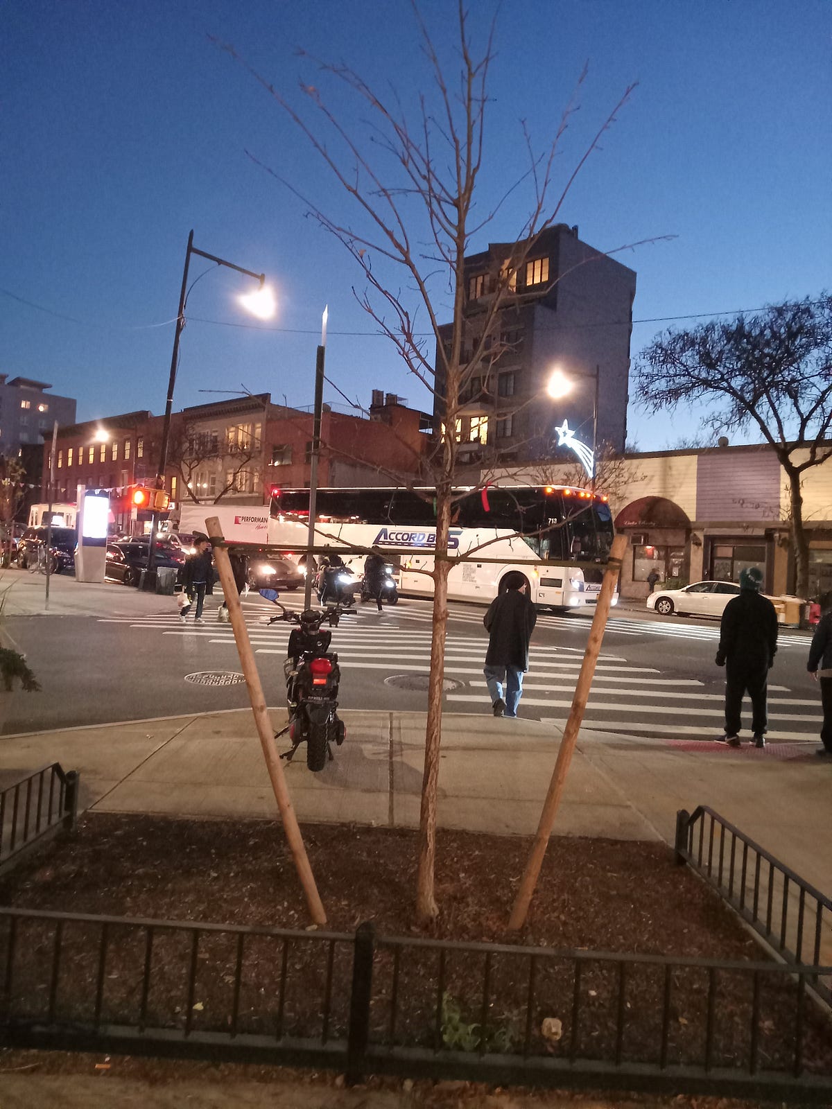 12 More Minutes. There was this tall tree near a… | by Renee Bray | Medium