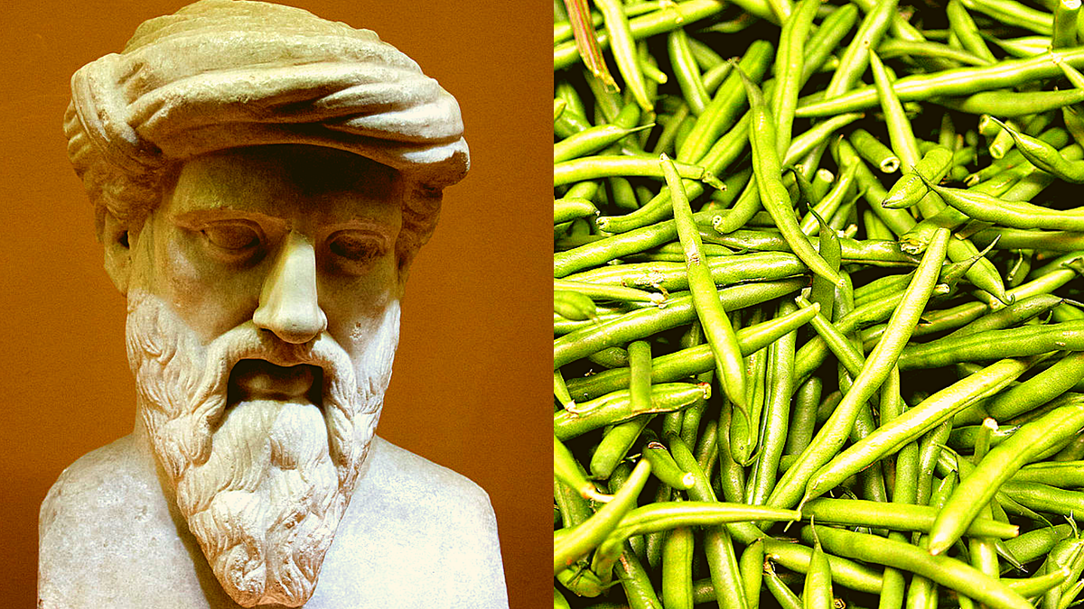 Pythagoras Believed Beans To Contain Dead Souls | by Marialaa ...