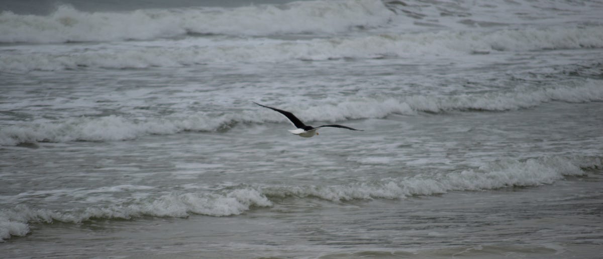 A realidade é pessimista?. Porque todos nós temos aqueles dias | by Fabio Brust | Juntando as ...
