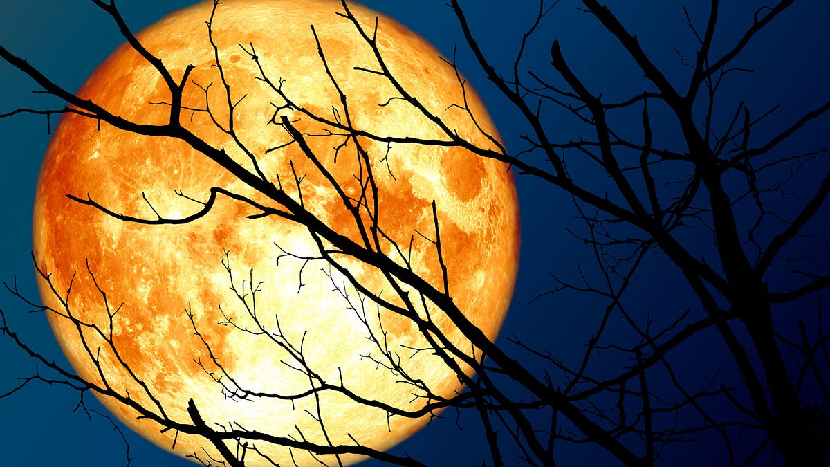 It’s Monday the 13th…Do You Know What That REALLY Means…? | by Peter ...