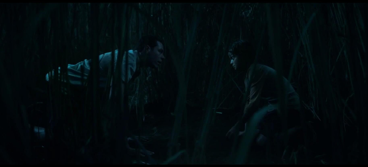 Why You Need To Watch ‘In The Tall Grass’ Even If You’re Not A Horror ...
