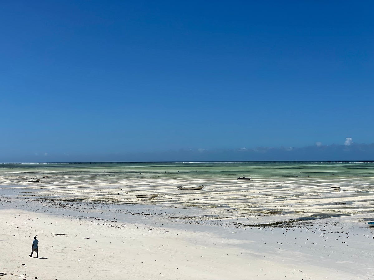 Discover the True Beauty of Zanzibar: Exploring Paje and Dongwe | by ...