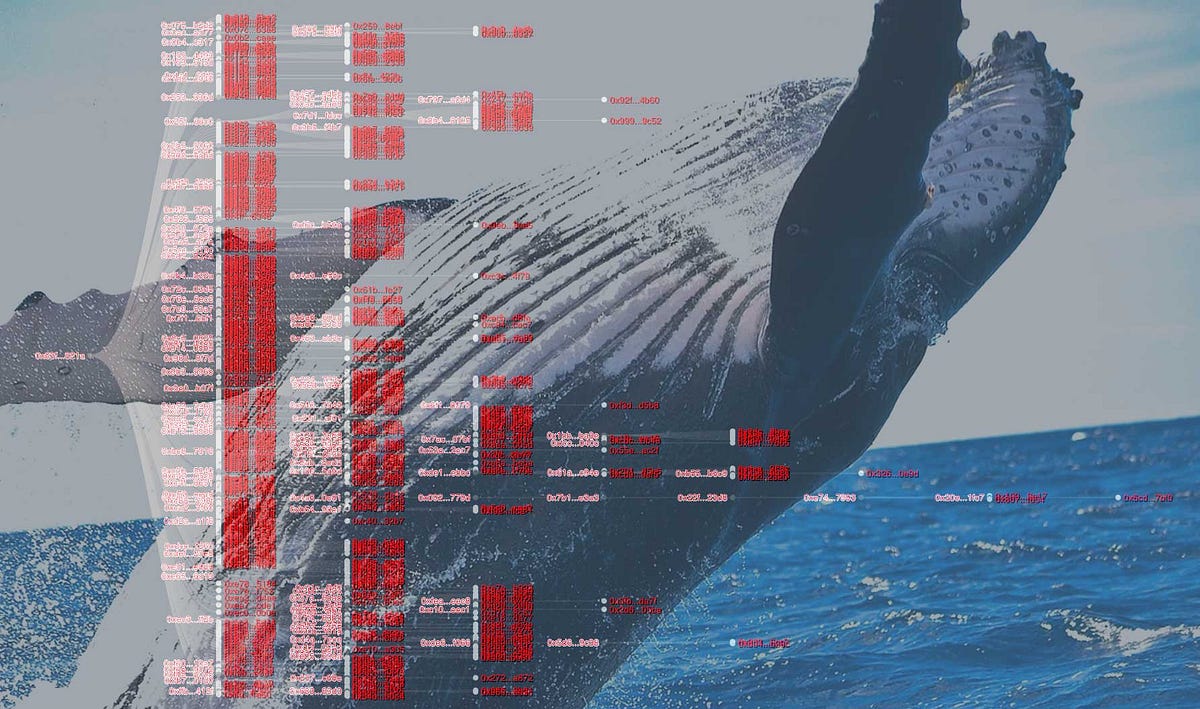 DRIP Super-spreaders — All it takes is one! | by Patrick Cryptozoa ...