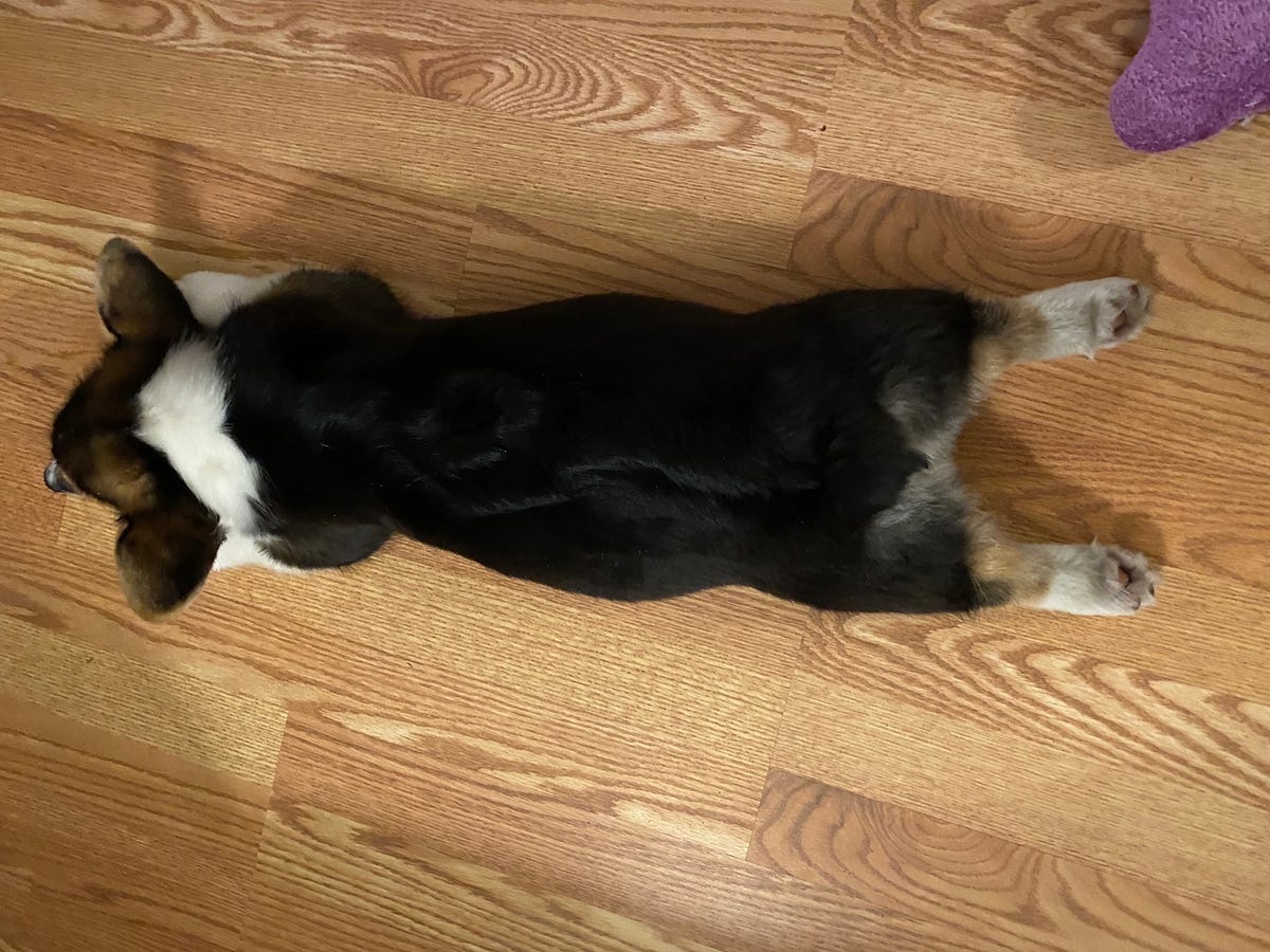 Flop-Dead Gorgeous - The Daily Cuppa - Medium
