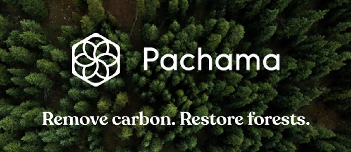 Welcoming Pachama to the PLUS Collective | by Plus Capital | Medium