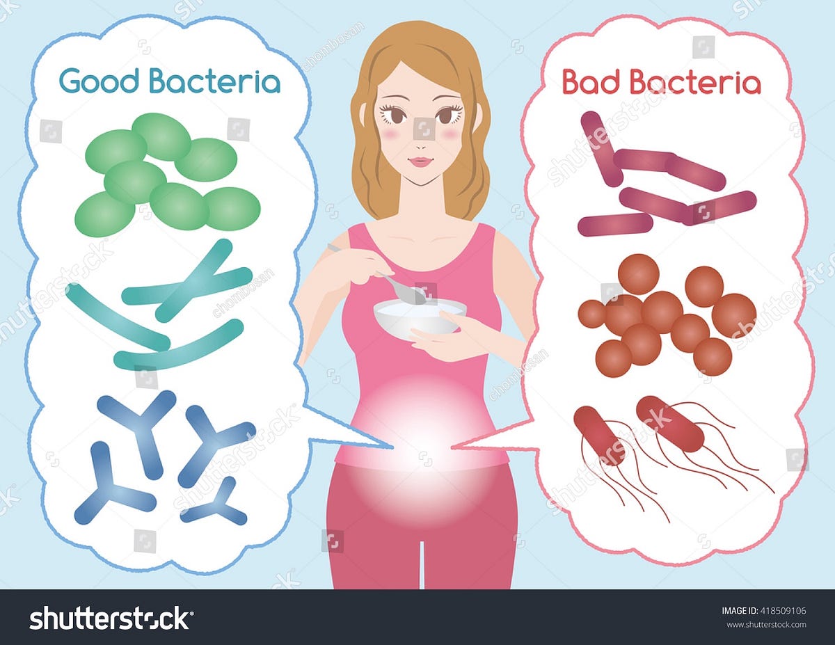 Gut profile and health. According to ‘Sushrutha Samhita’… | by Chinmayi ...