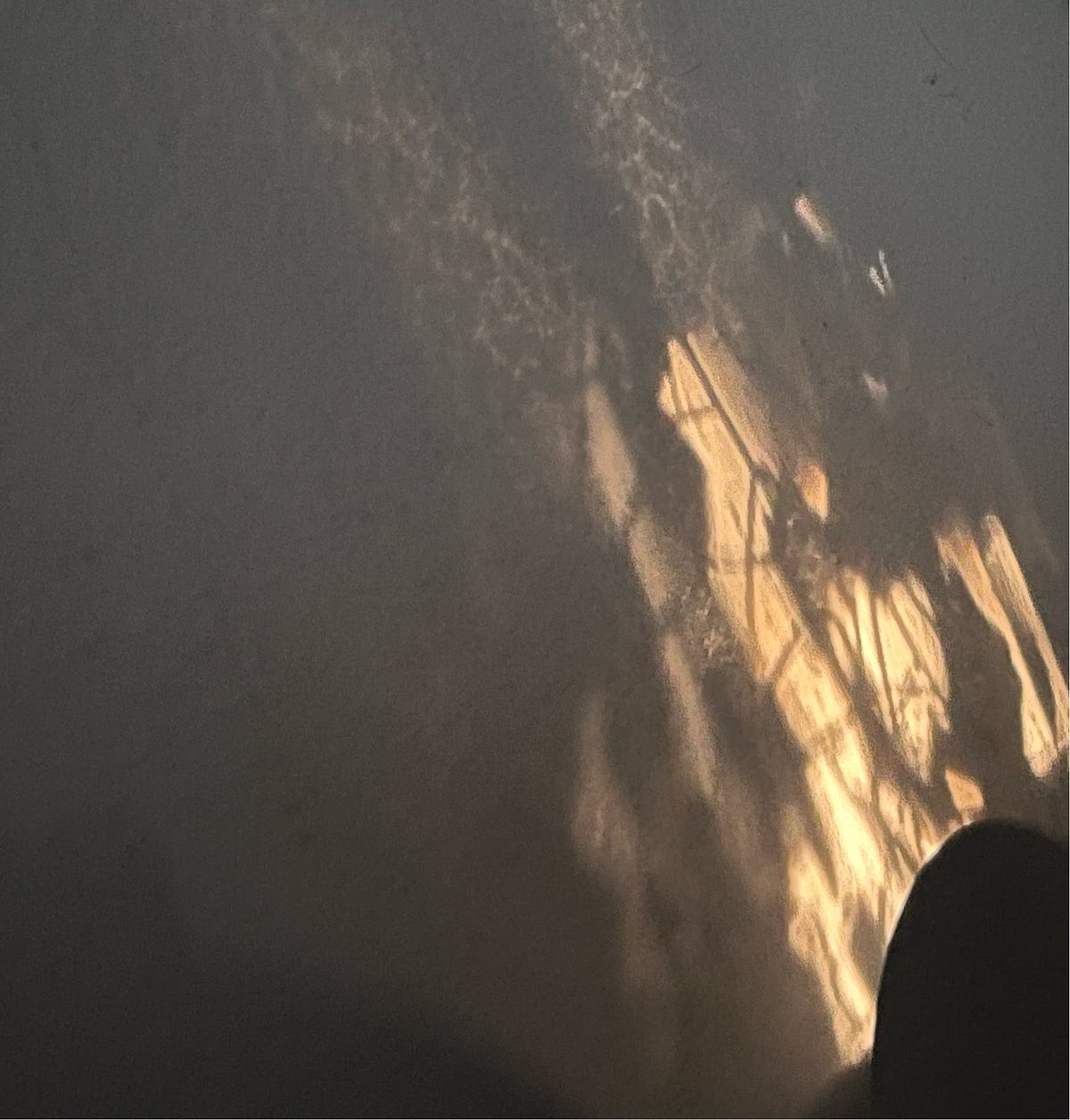 Embers - Beauty in the Bland - Medium