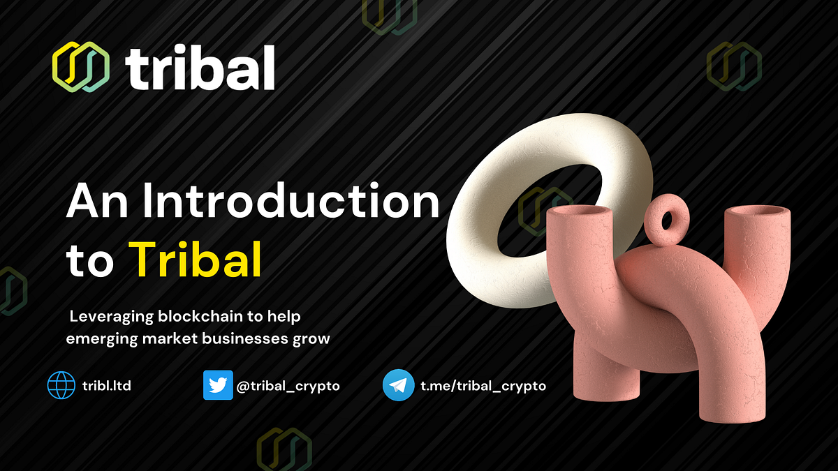 Unlocking Financial Growth for SMBs: An Introduction to Tribal, the ...