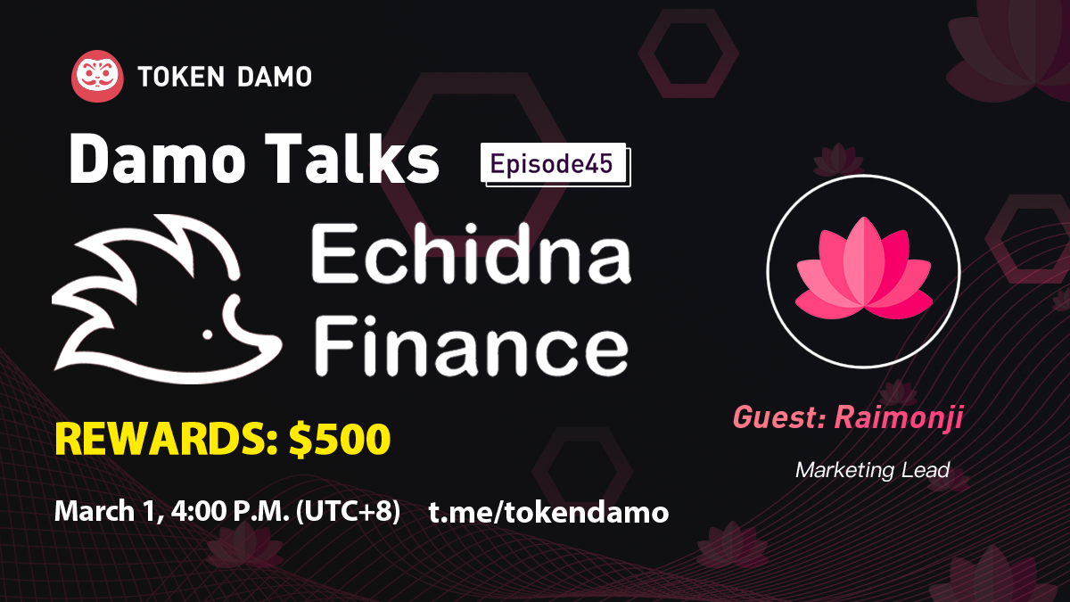 DamoTalks #45 with Echidna Finance — Bounty Rules | by Crypto3 View | Medium