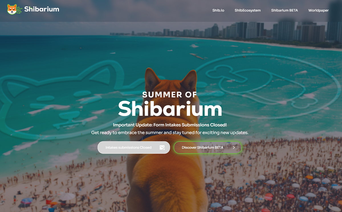 Is the Shibarium mainnet launch the Next Big Hype? | by Crypto Mekka ...