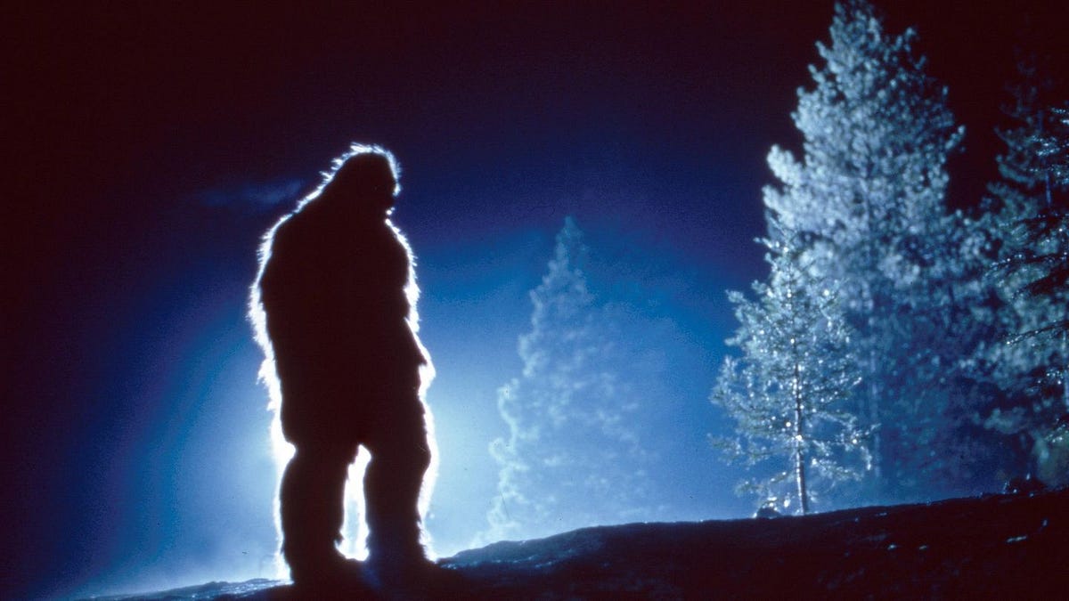 The Existence of Bigfoot: Fact or Fiction? | by Toni Bülow | Medium