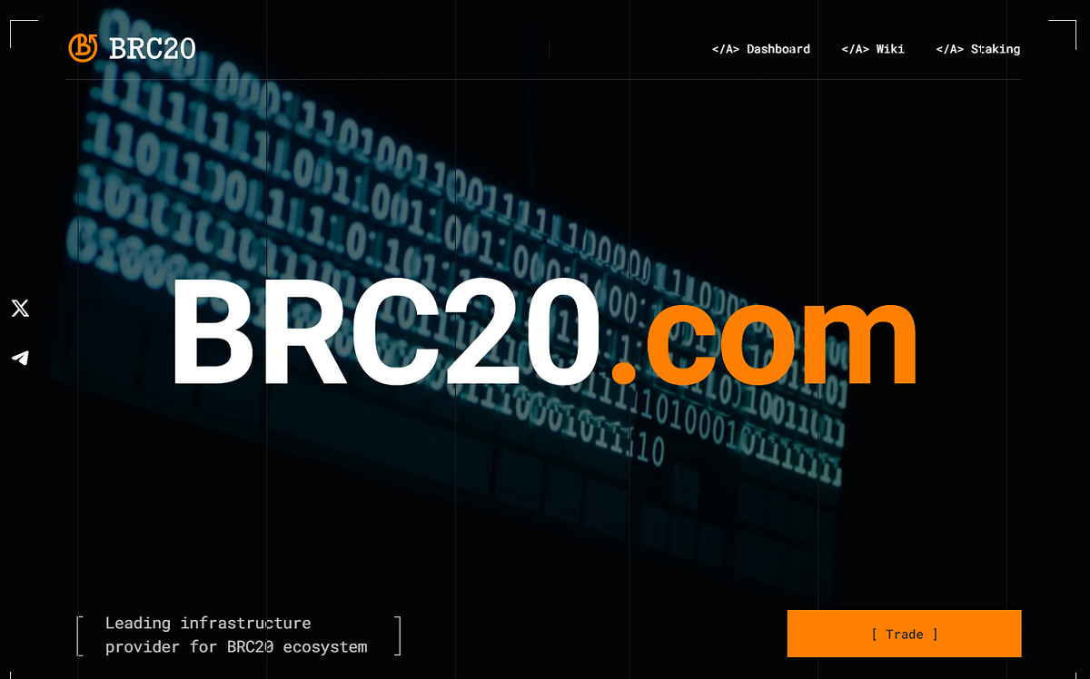 BRC20.com : Potential project on the BTC network. 🪂💰 | by Conflux1618 | Jan, 2024 | Medium