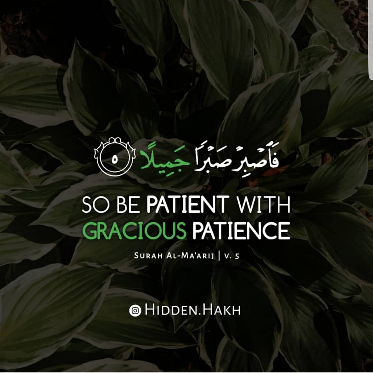 Be Patient. But How?. Life tests us in unique ways. Can we… | by Amtul ...