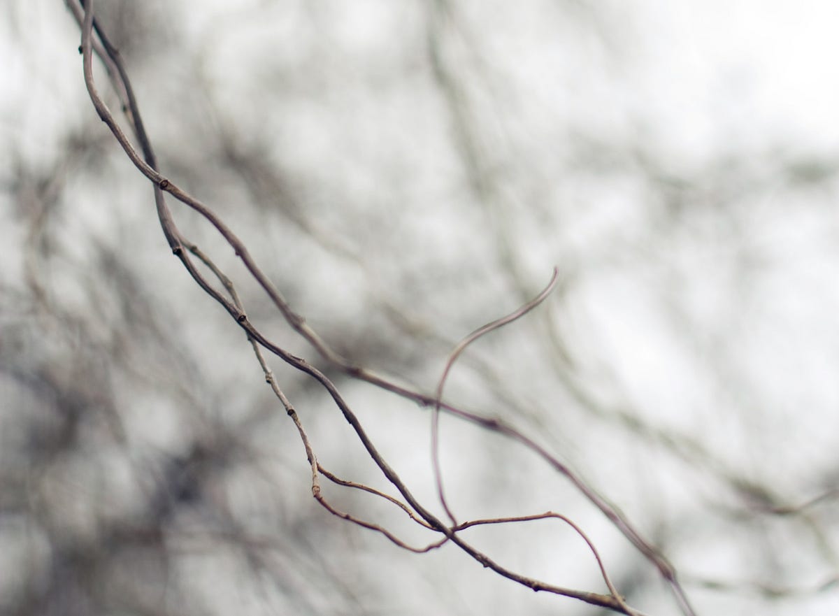 The Redemptive Power of Living in Circles | by Erin Greco | Medium