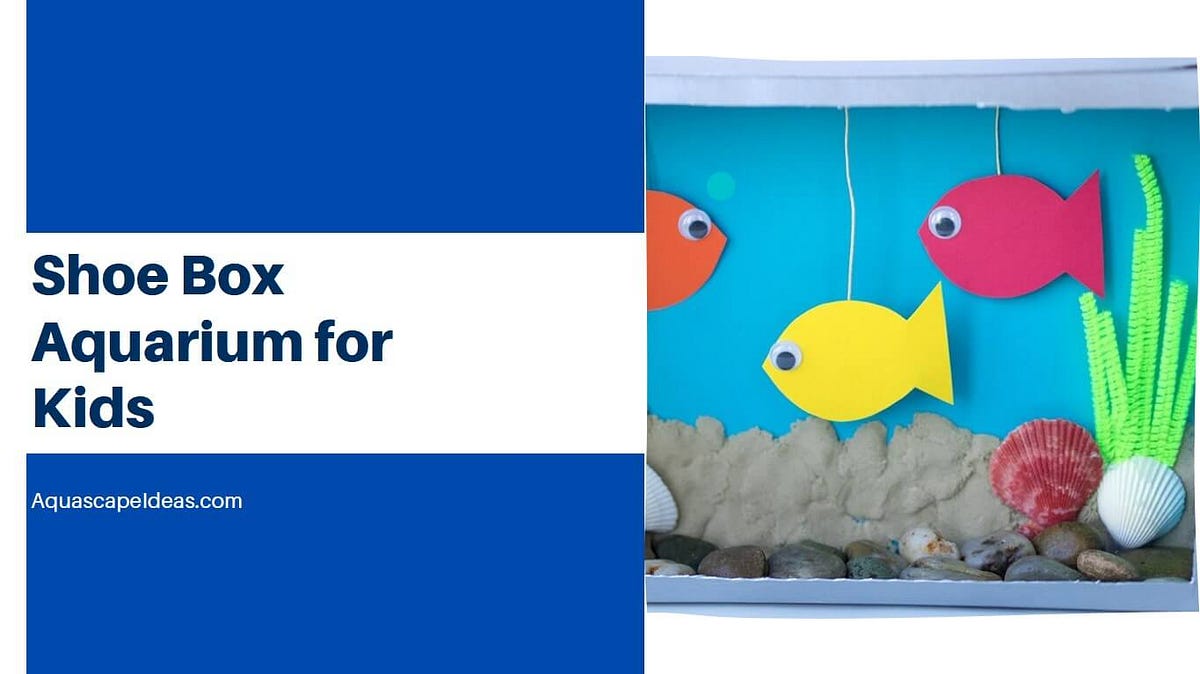 Shoe Box Aquarium for Kids — Aquascape Ideas - Aquascapeideas - Medium