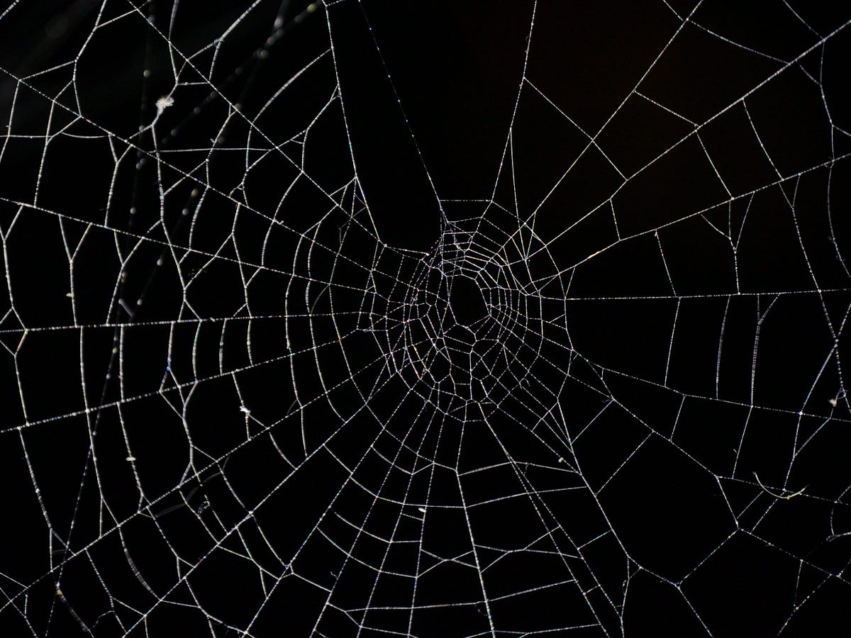 Improving Team Performance. A spiderweb analogy by Disney Davila | by ...