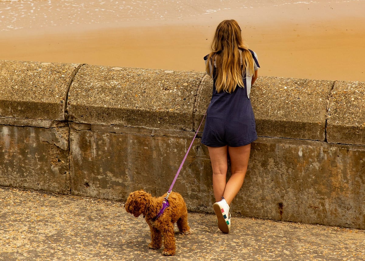 The Science Behind TikTok’s ‘Fart Walk’ Craze | by Sam Westreich, PhD ...