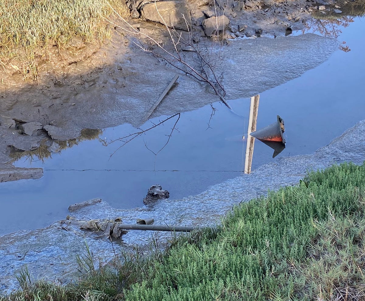 one definition of liberation. a free verse poem for riparian: the… | by ...