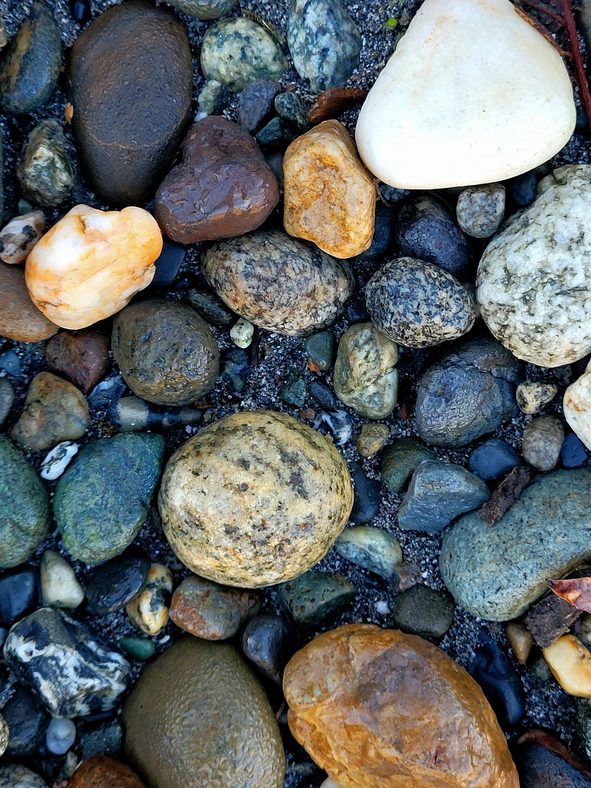 A Day of Gratitude. River rock crunches a familiar tune… | by Guy ...