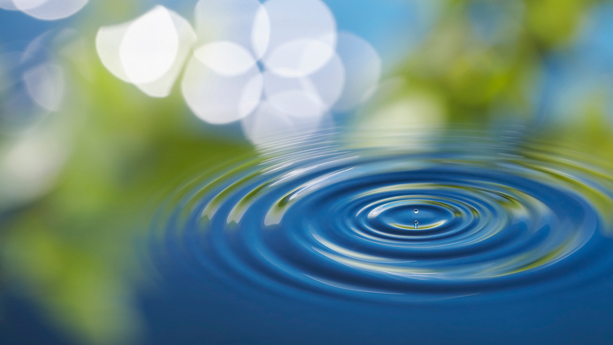The Ripple Effect: How Water Scarcity Impacts Food Security | by TBCF ...