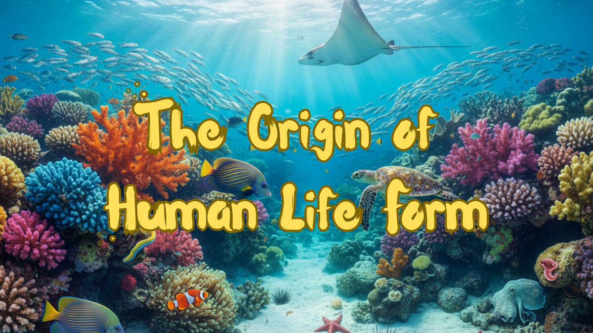 The Origin of Human Life. The Sun and Ocean, the Primordial &… | by ...