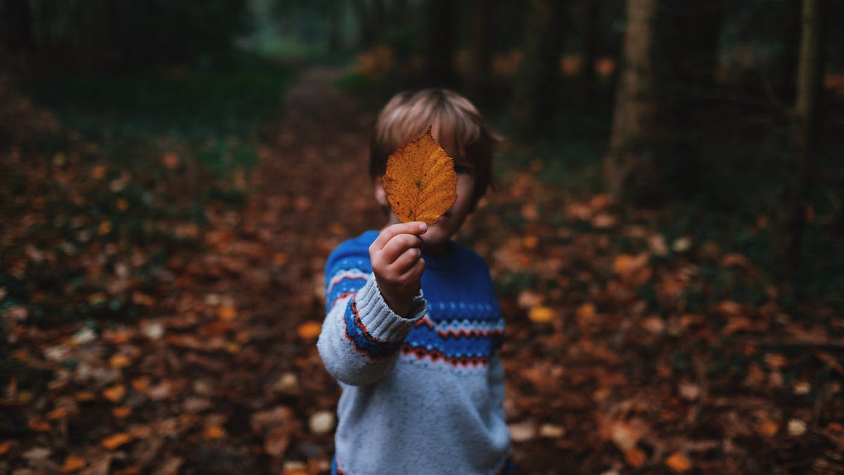 A Vulnerable Genius. To fully experience this story to as… | by ...