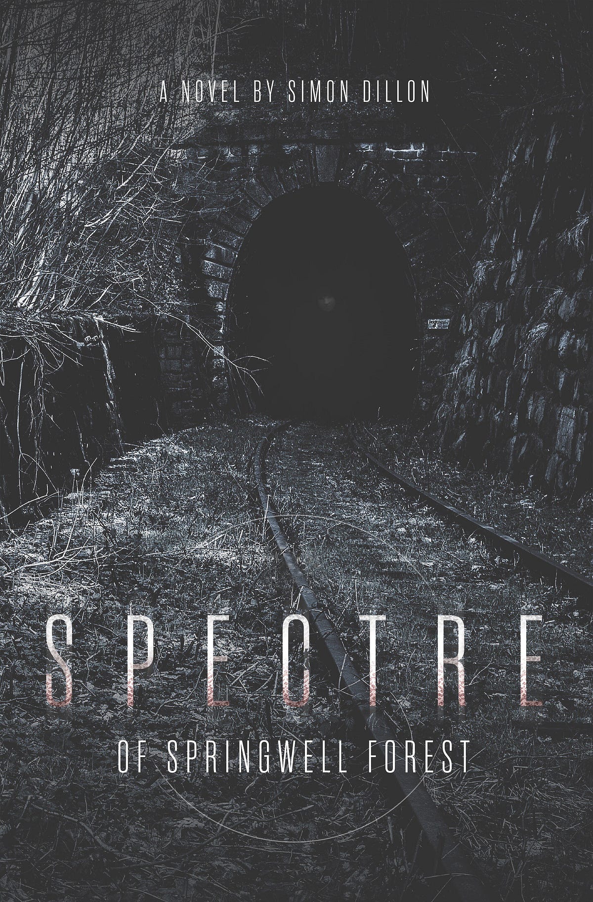 Spectre of Springwell Forest Chapter 4 | ILLUMINATION Book Chapters