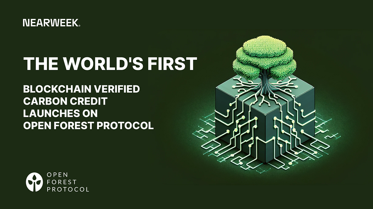 The World’s First Blockchain Verified Carbon Credit is Live | by ...