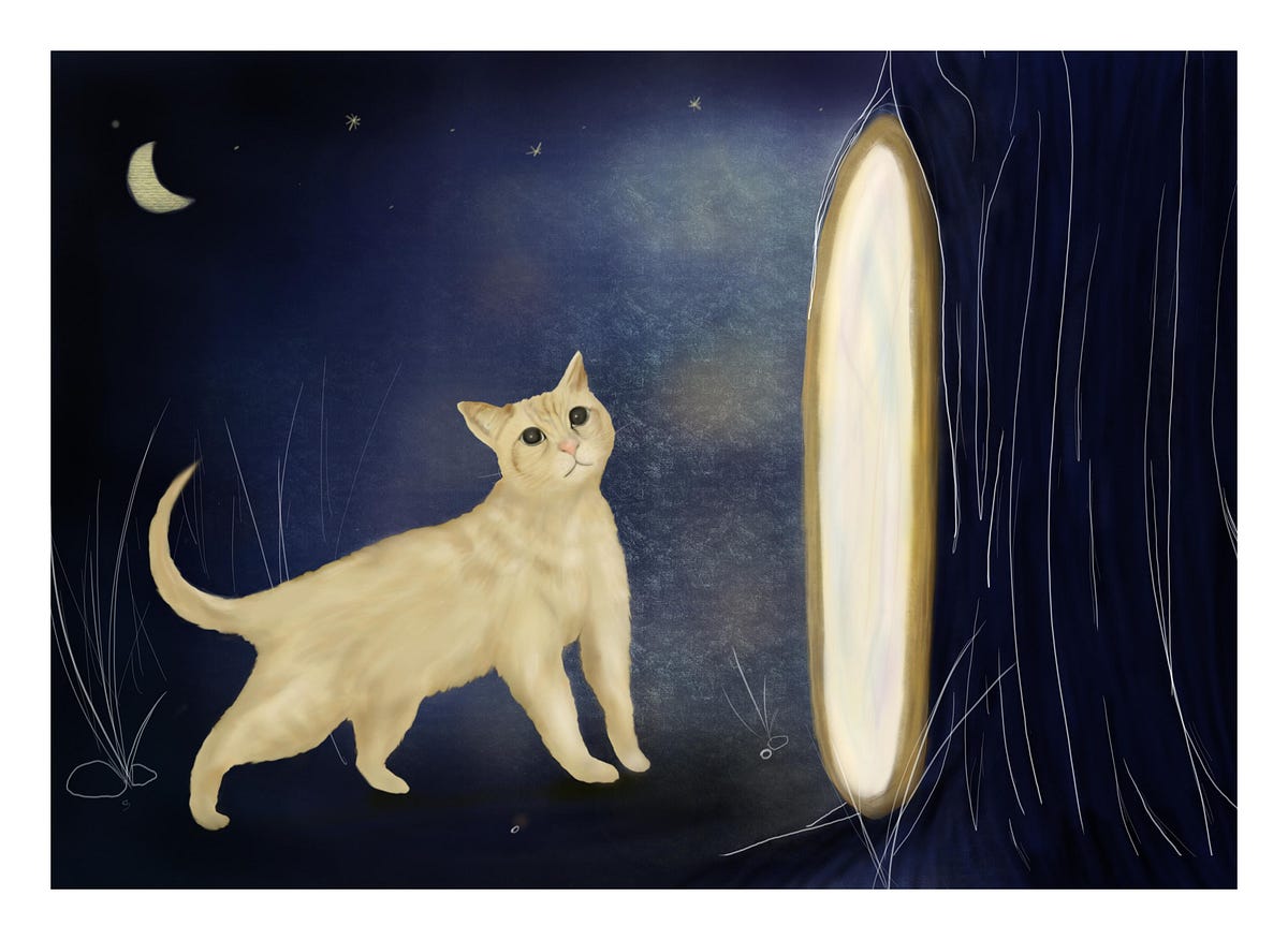 Milo (the outdoor cat poem) - Louiseful - Medium
