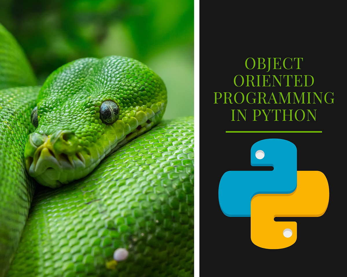 Learning Object Oriented Programming Oop In Python By Developing A 6015