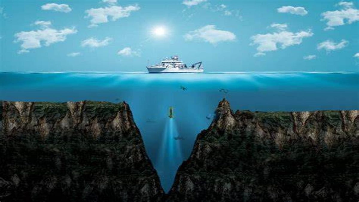 What Experts Saw At The Bottom Of The Deepest Ocean In The World | by ...