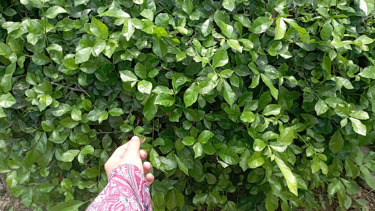 Kapan tulisanku layak?. Pertanyaan itu terus berpendar-pendar… | by ...