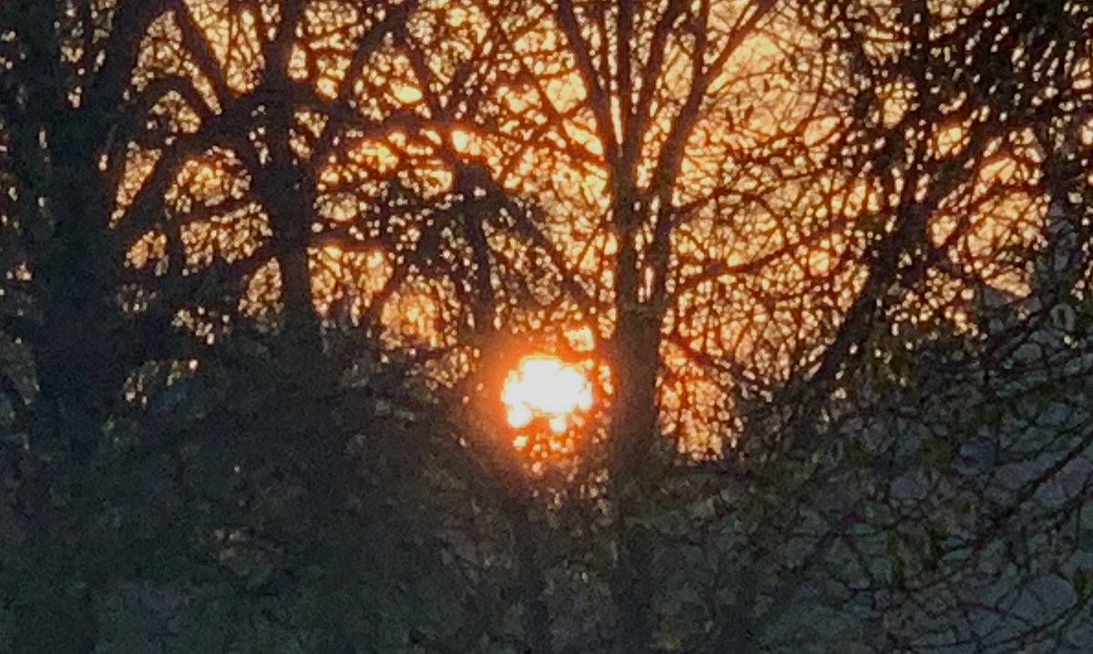 A new dawn. Every day starts very similarly. Up… | by Alan Turner | Medium