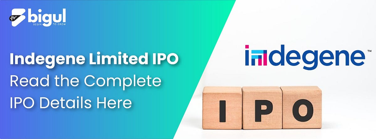 Indegene Limited IPO: Read the Complete IPO Details Here | by Bigul | Apr, 2024 | Medium