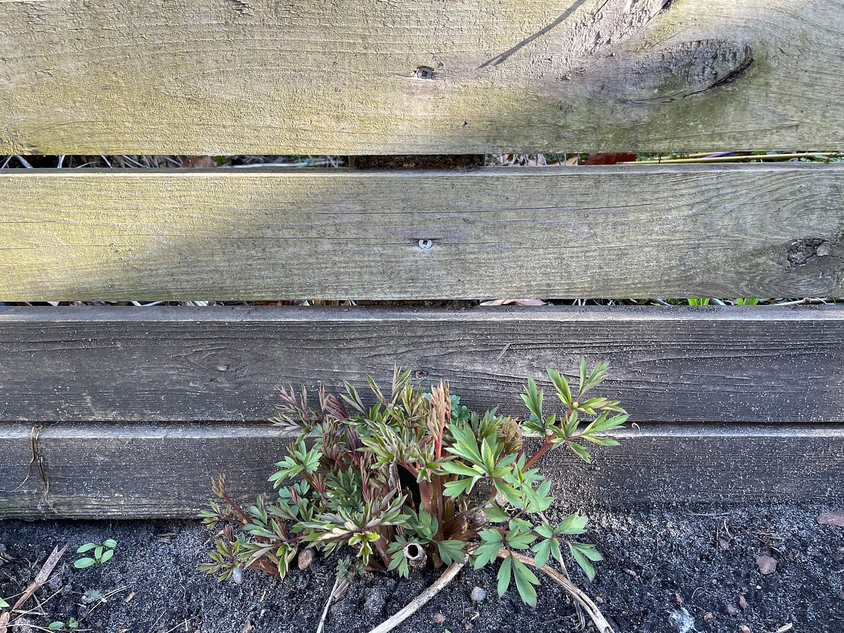 A 3-month Long Exercise in Patience | by Gabriela Fitz | Medium