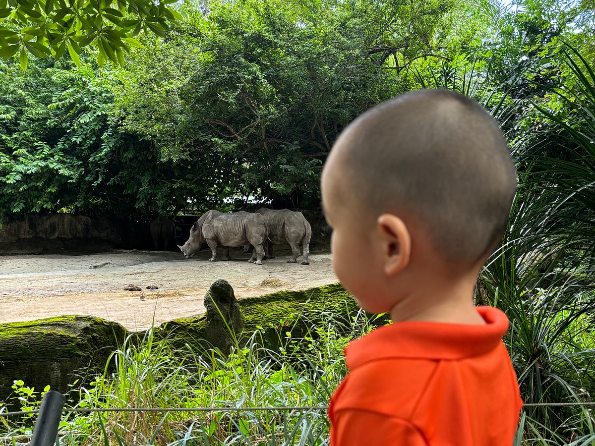 From Layoff to Fatherhood｜ How I Unexpectedly Became a Full-Time Dad ...
