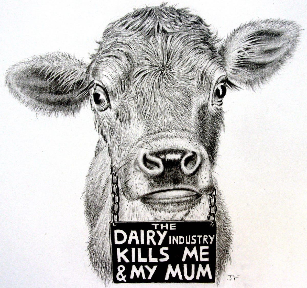 Dairy is scary 🥛. My personal experience with milk and… | by Joshua ...