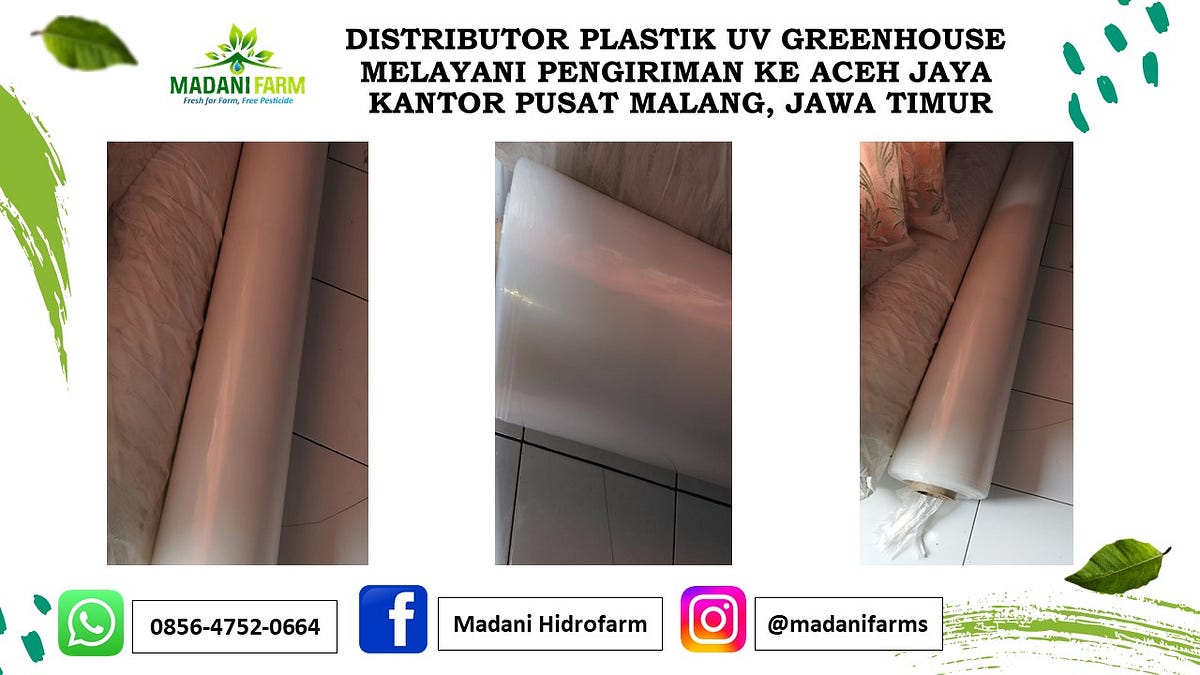 Toko!!! HP/WA 085647520664 Plastik UV Aceh Jaya | by Vitri Hidroponik | Jul, 2023 | Medium