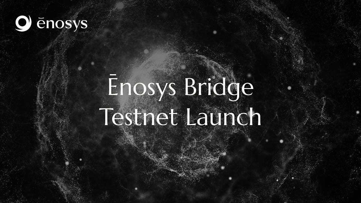 Enosys Bridge Guide. In this guide, we will be utilising… | by Ēnosys ...