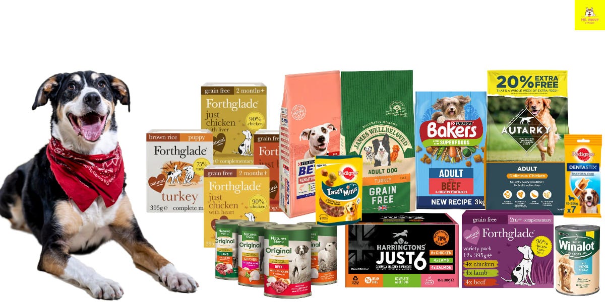 Mr. Buddy Pet Shop: A Comprehensive Guide to Exceptional Pet Nutrition ...
