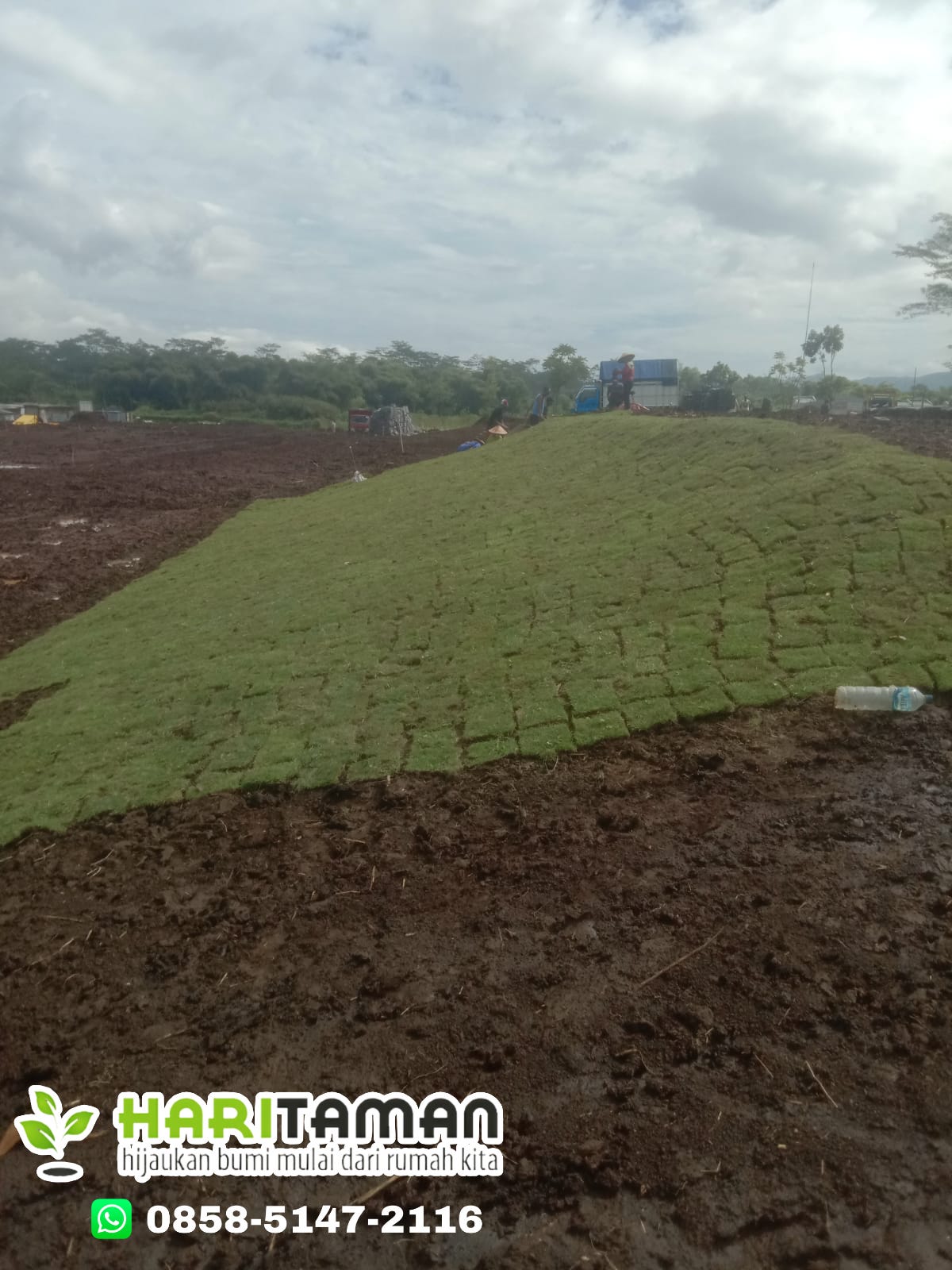Jasa Tanam Rumput Golf Kota Bogor | by 085851472116, Jual Rumput Jepang ...
