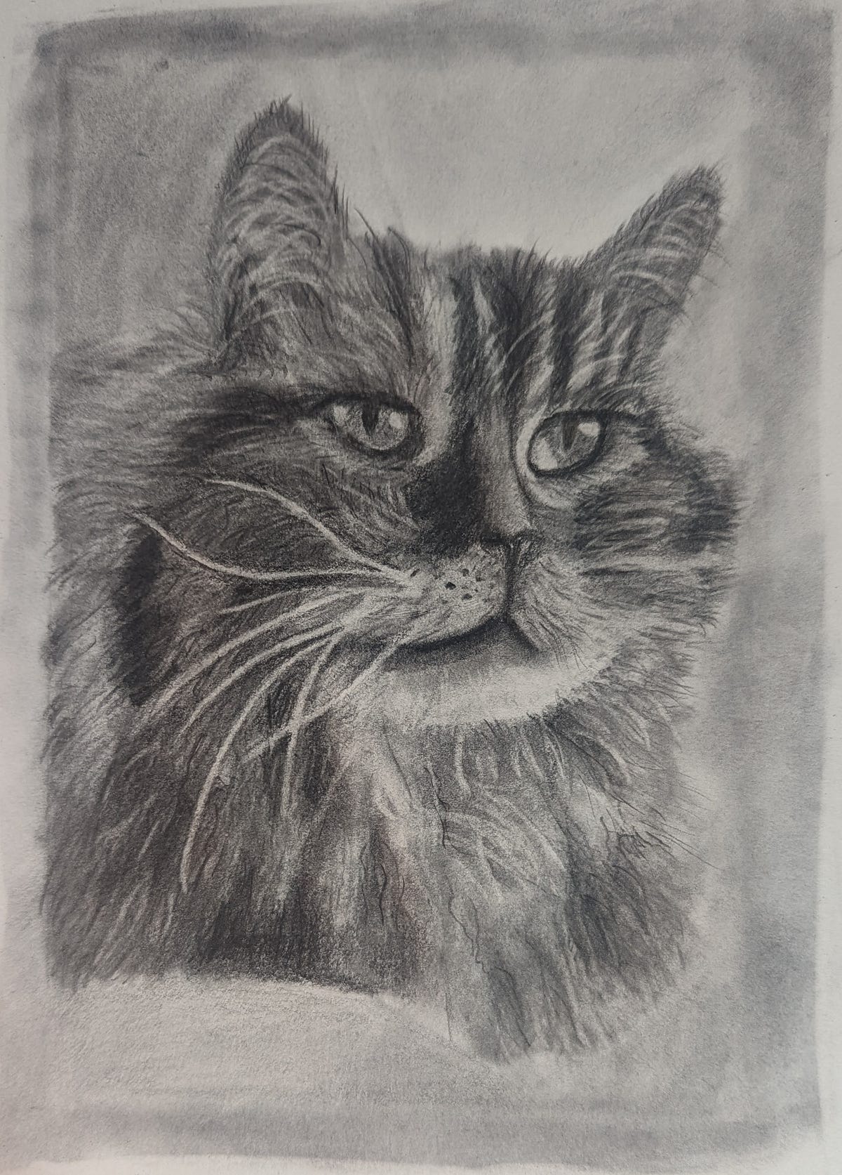 Today I Lost A Friend. Losing a pet is more traumatic than we… | by ...