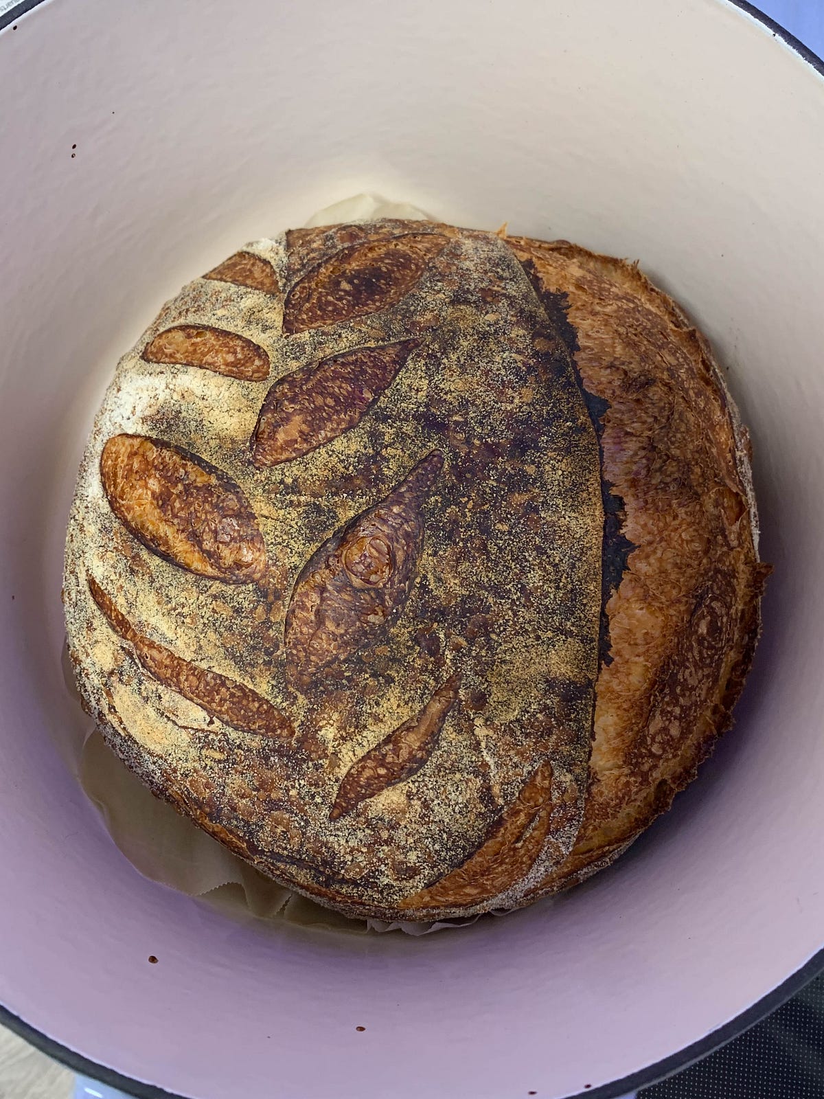 How To Make Sourdough Bread. After a trip home to Kodiak, Alaska in ...