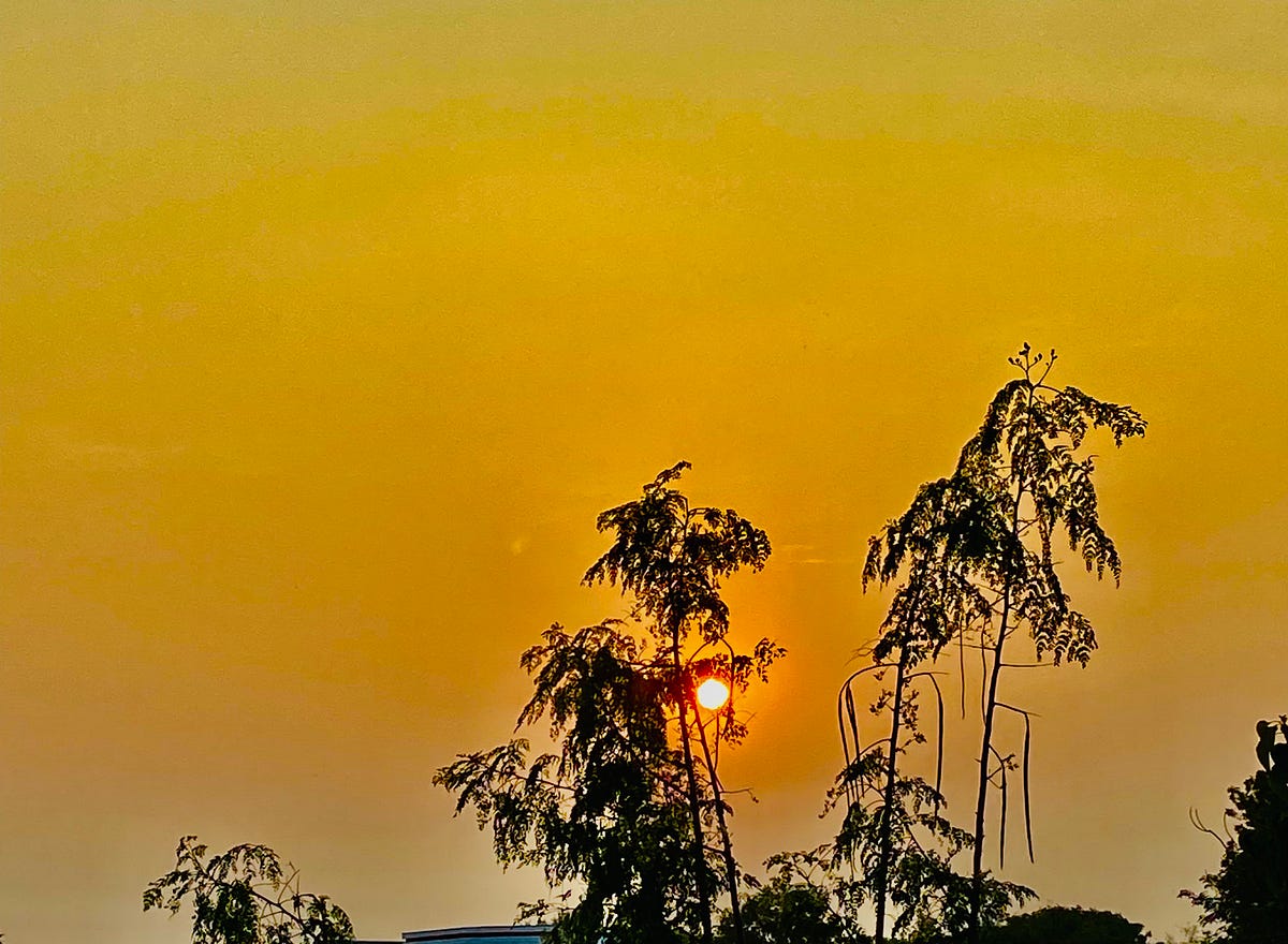 Sun Thoughts. “Keep your face to the sun and you will… | by Pradip 🧿 ...